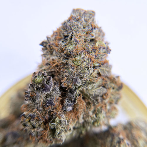 Italian Ice Premium - District Connect - Washington DC i71 Weed Delivery