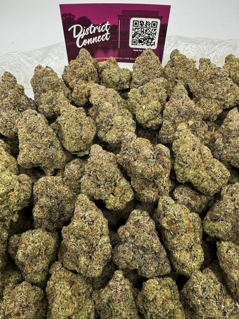 Galactic Runtz Exclusive **OUT OF STOCK** - District Connect ...