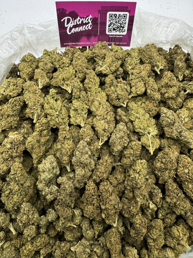 Critical Orange Punch Oz Deal **OUT OF STOCK** - District Connect ...