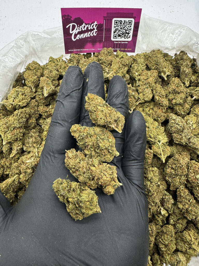 Critical Orange Punch Oz Deal **OUT OF STOCK** - District Connect ...