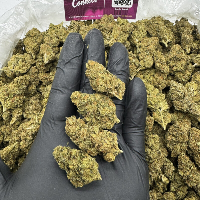 Critical Orange Punch Oz Deal **OUT OF STOCK** - District Connect ...