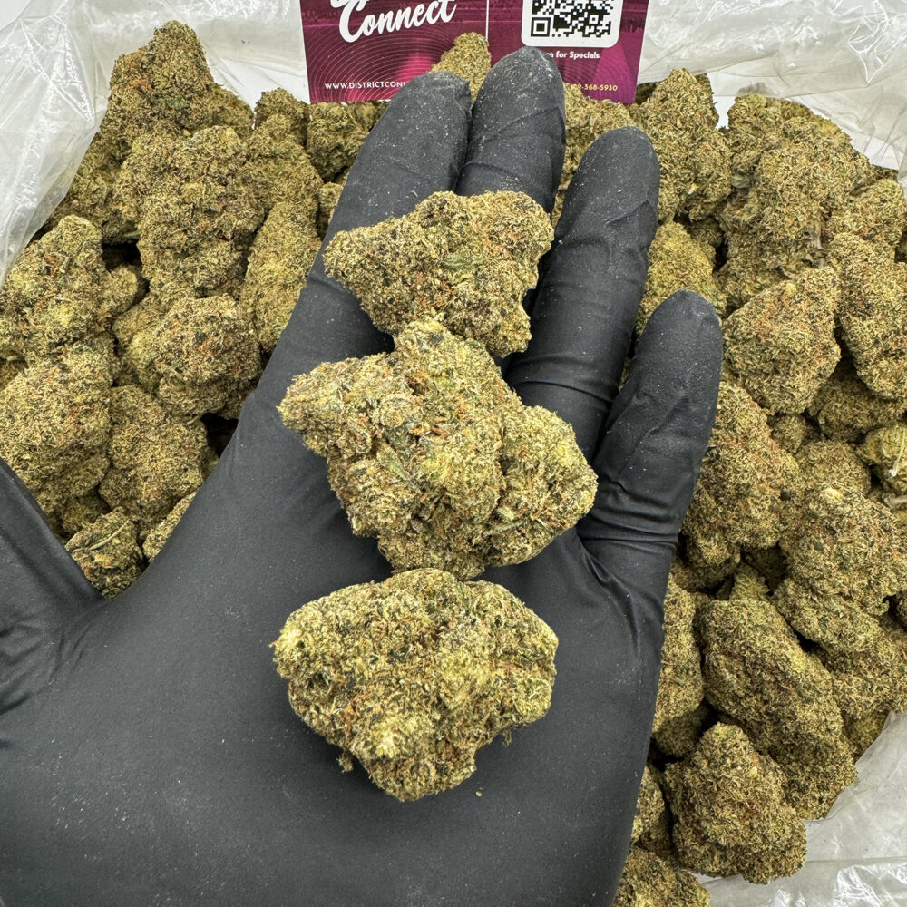 Tropical Cookies Exclusive **OUT OF STOCK** - District Connect ...