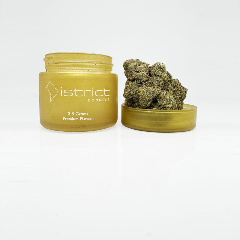 Tropical Cookies Exclusive **OUT OF STOCK** - District Connect ...