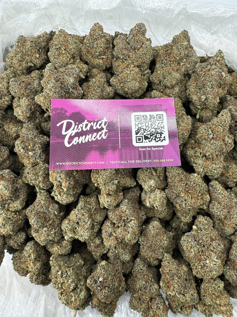 Guava Cake Exclusive **OUT OF STOCK** - District Connect - Washington ...
