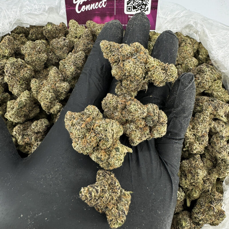 Lemon Cherry Gushers Exclusive **OUT OF STOCK** - District Connect ...