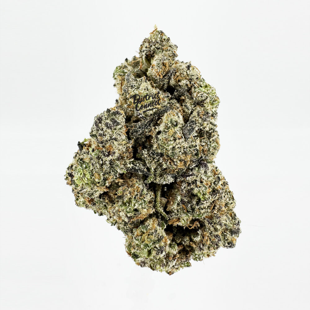 Laughing Elephant Exclusive Designer **OUT OF STOCK** - District ...