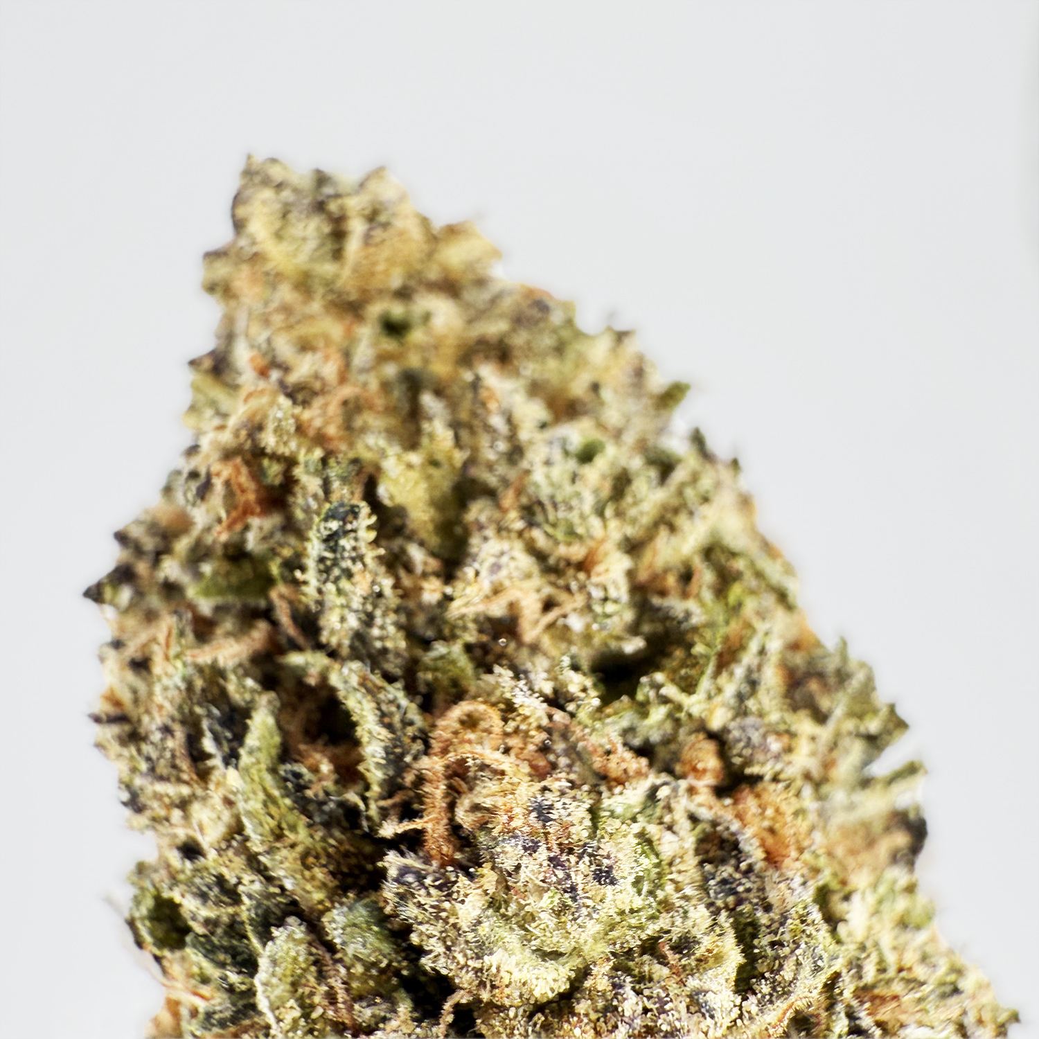 Rainbow Runtz Oz Deal **OUT OF STOCK** - District Connect - Washington ...