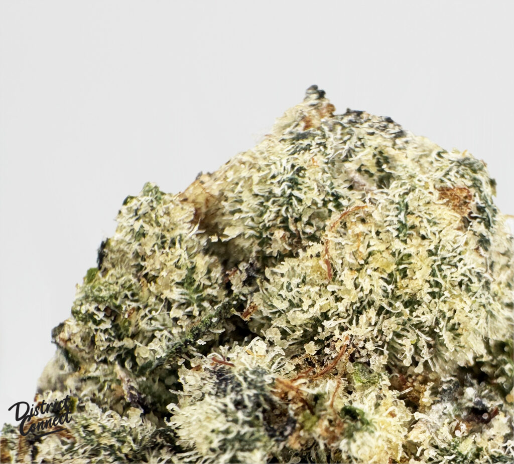 Diamond Runtz - Hybrid - Exclusive - District Connect - Washington DC ...