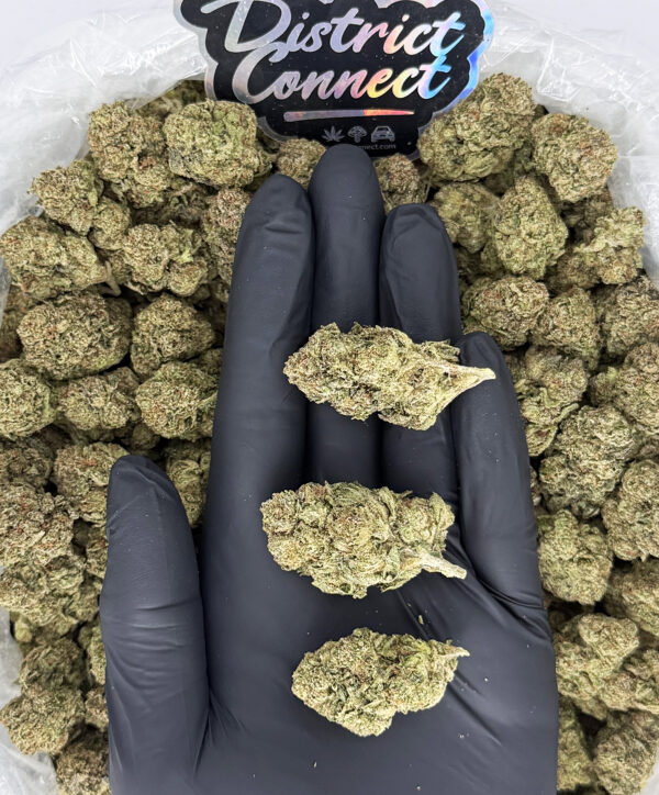 Lemon Warhead Oz Deal **OUT OF STOCK** - District Connect - Washington ...