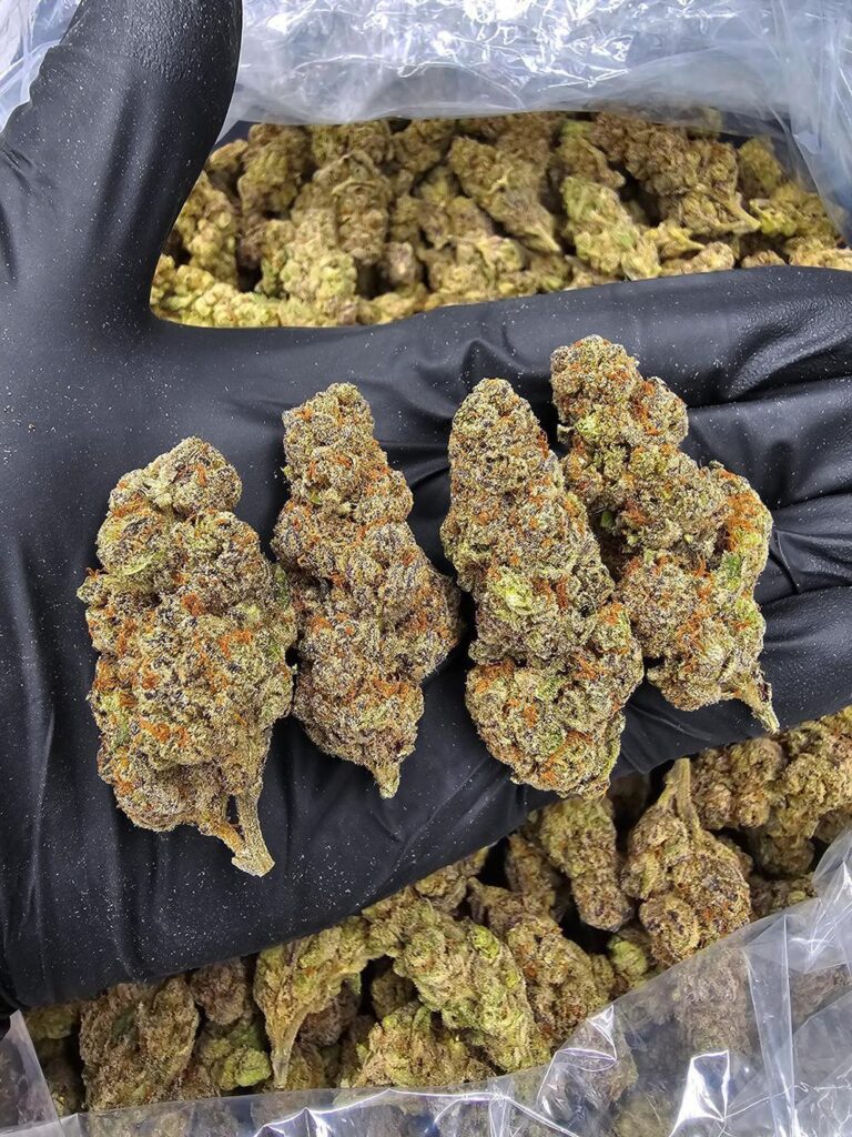 Emperor Cookies - Sativa 80/20 - Exclusive**OUT OF STOCK** - District ...