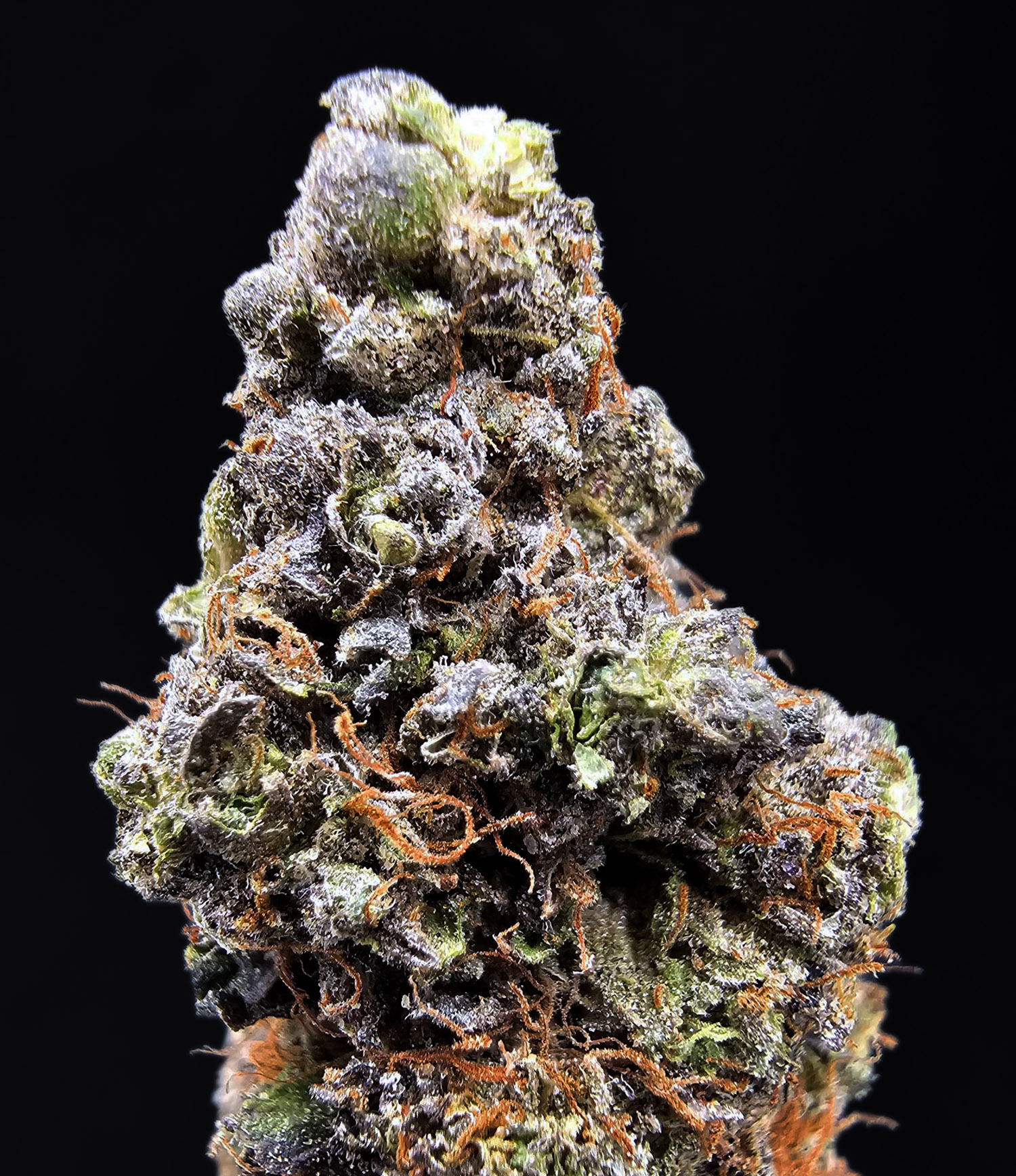 Space Runtz - Hybrid - Designer. **OUT OF STOCK** - District Connect ...