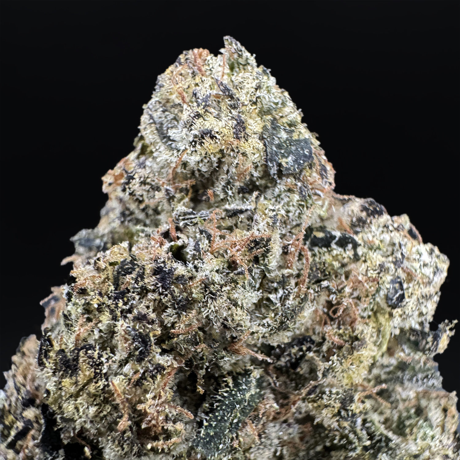 Cherry Gushers Exclusive Designer **Out of Stock** - District Connect ...