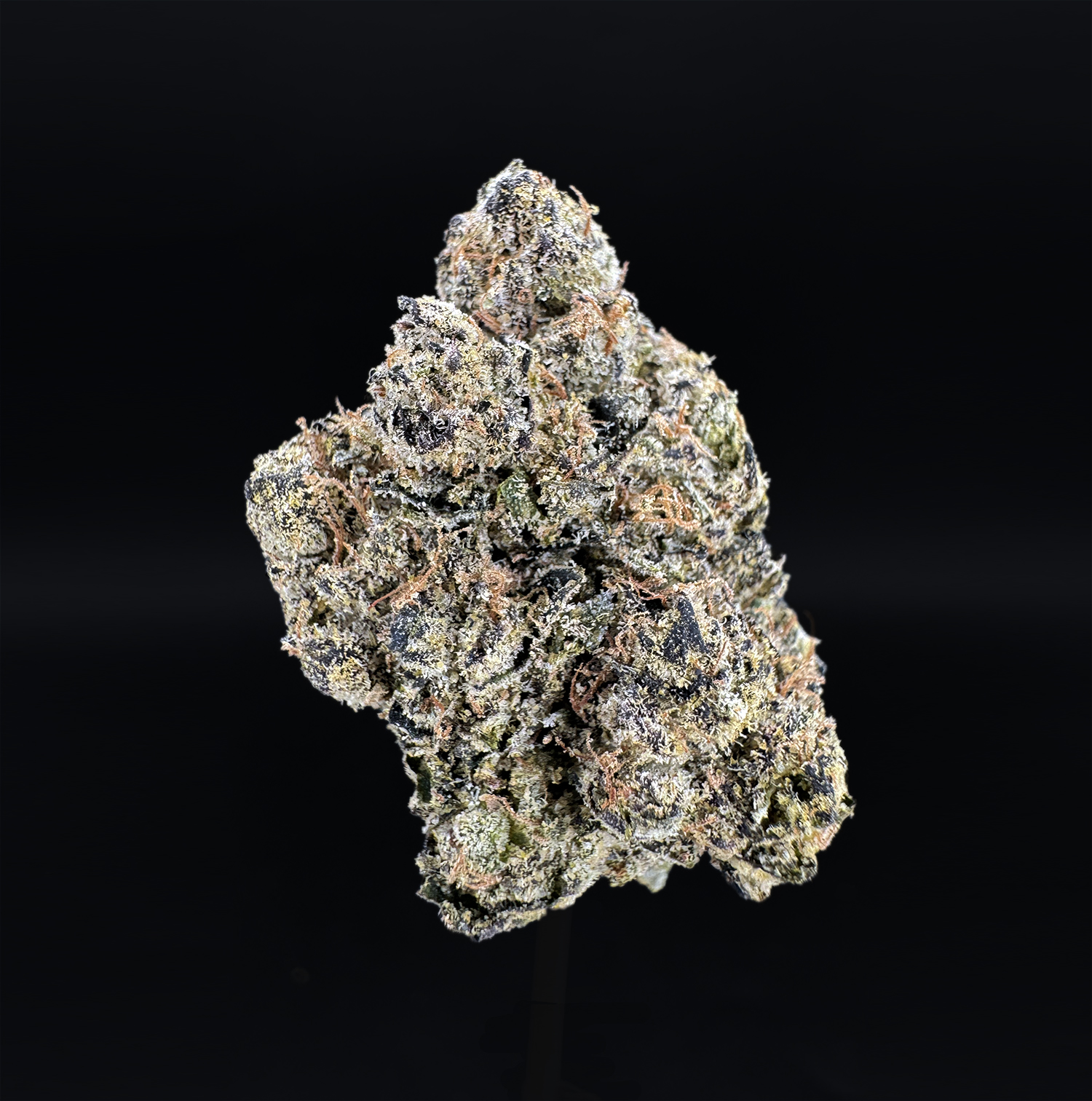 Cherry Gushers Exclusive Designer **Out of Stock** - District Connect ...