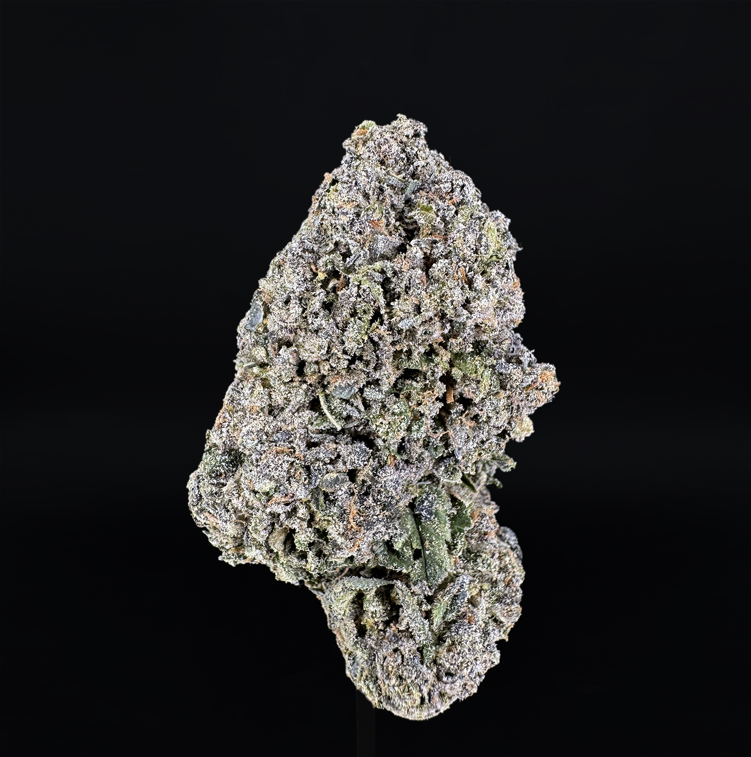 Krispy Kreme Exclusive Designer - District Connect - Washington DC i71 ...