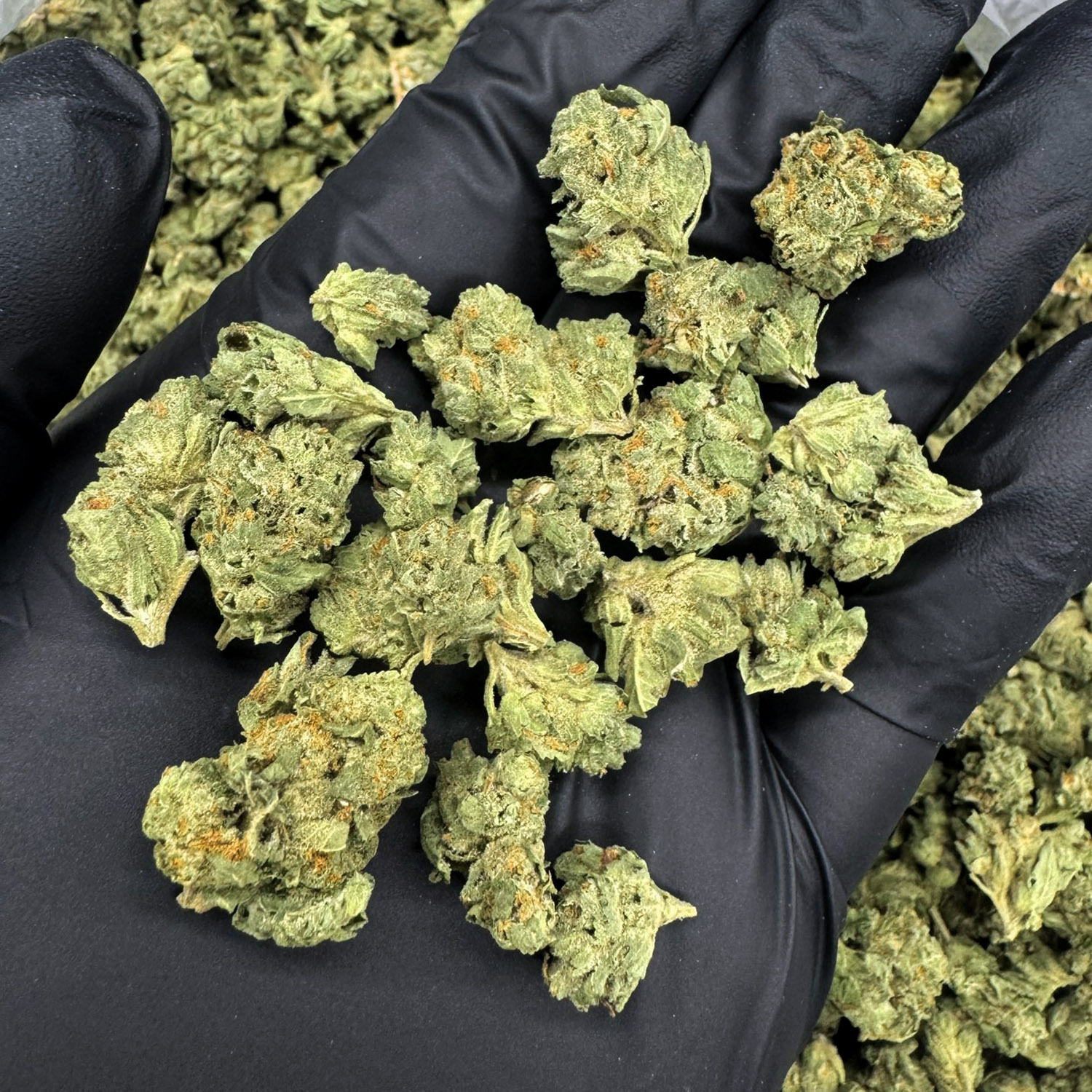 MAC Melon Smalls Oz Deal *Out of Stock* - District Connect - Washington ...