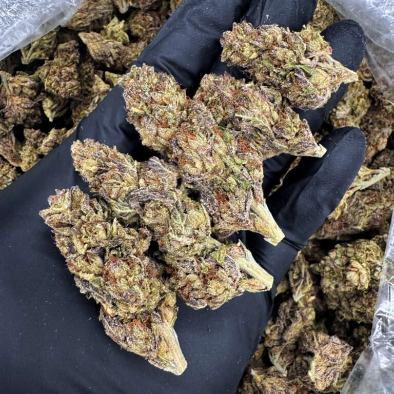 Super Runtz - Hybrid - Oz Deal. - District Connect - Washington DC i71 ...