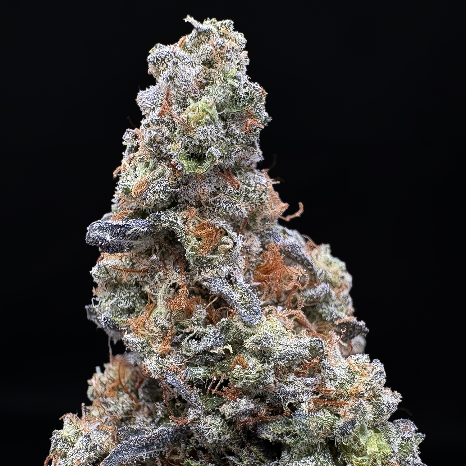 Pineapple Express - Sativa - Exclusive Designer - District Connect ...