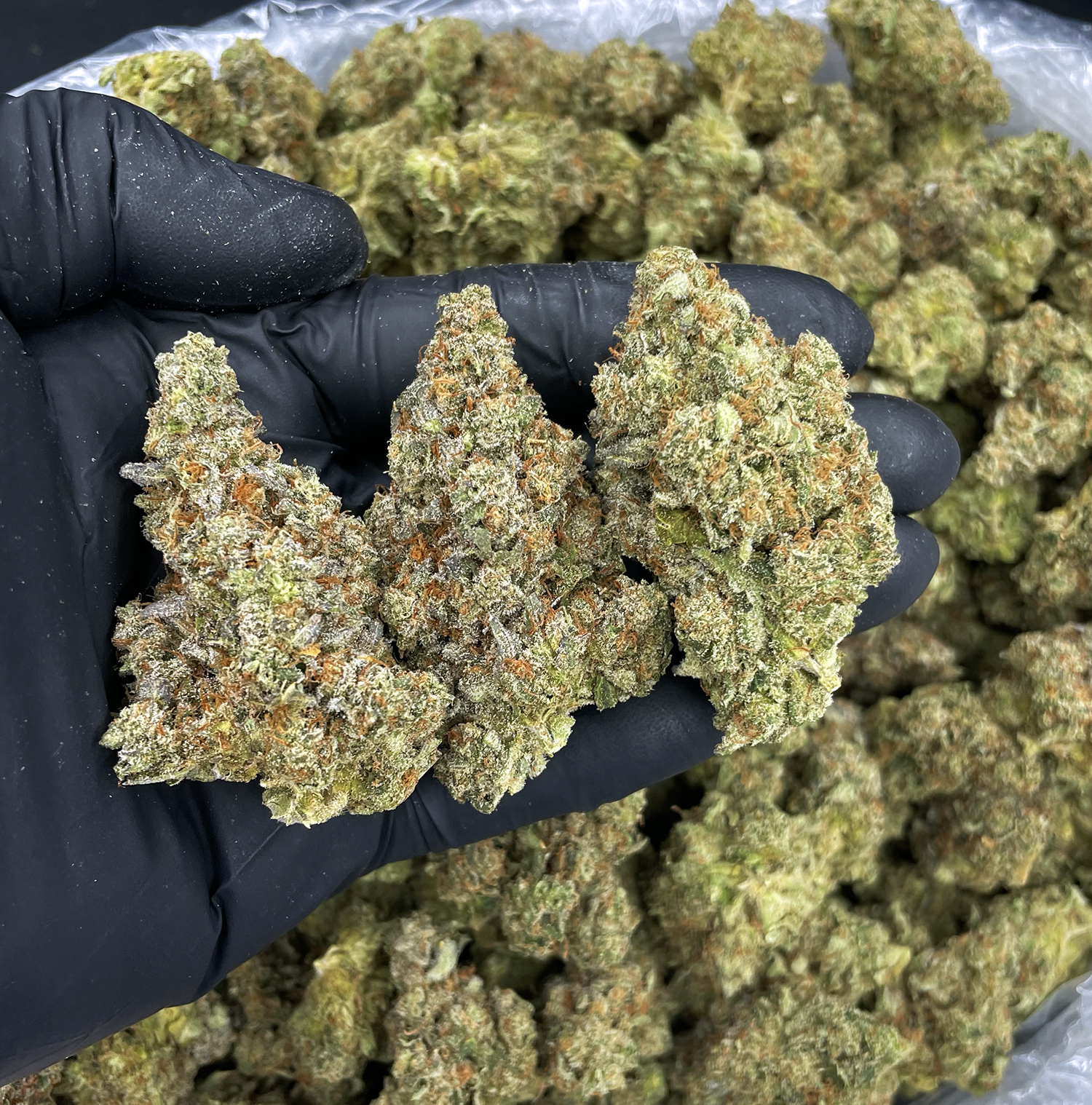 Pineapple Express - Sativa - Exclusive Designer - District Connect ...