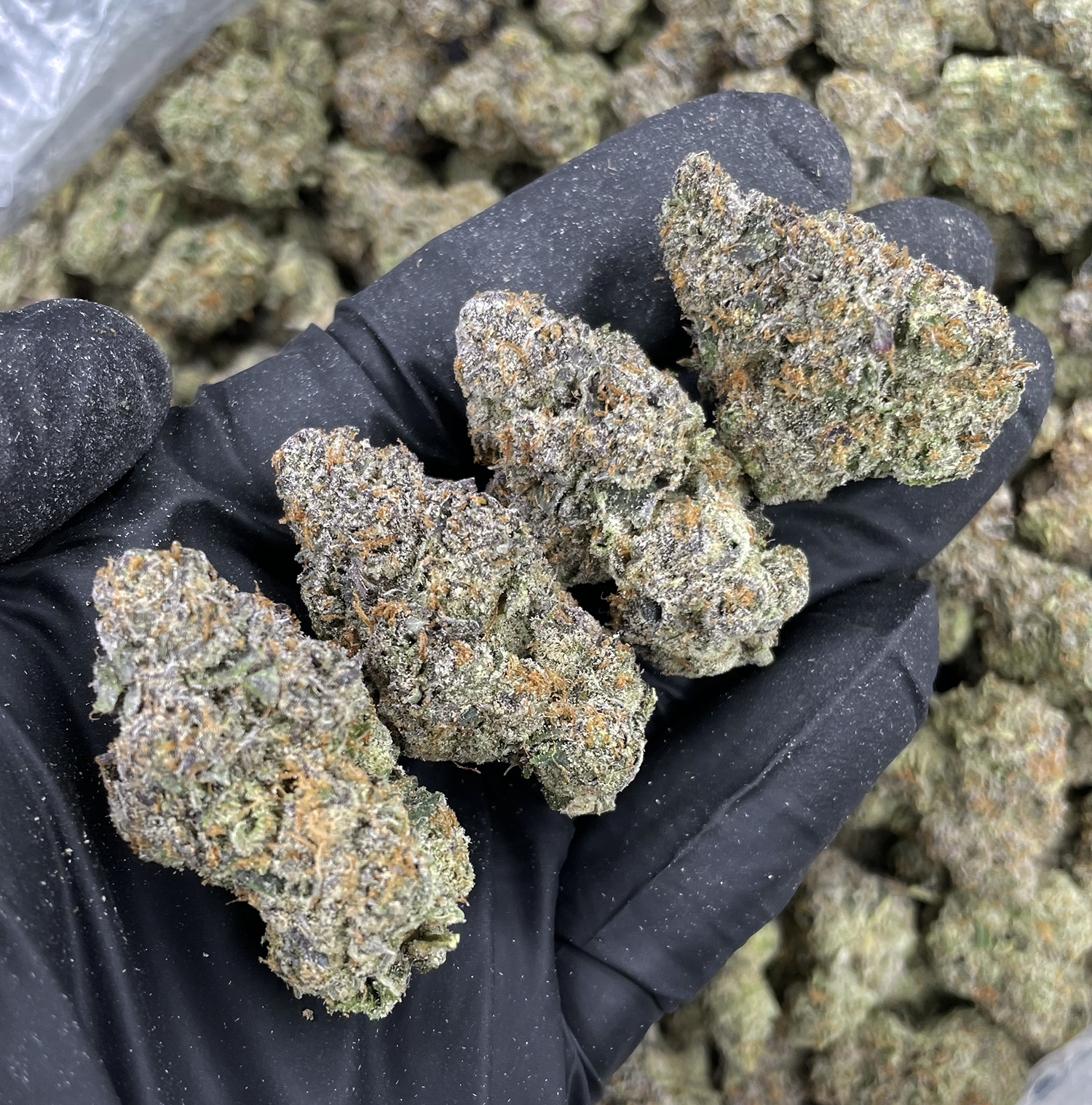 Wedding Cake - Indica - Top Shelf - District Connect - Washington DC ...